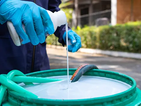 General Pests Control Across East And South Auckland