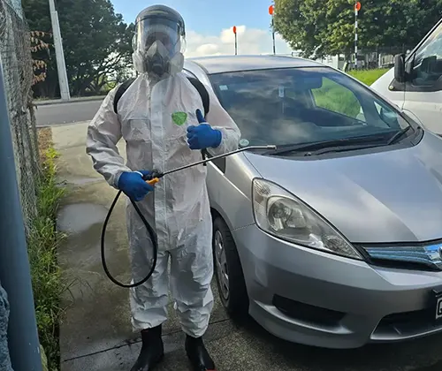 About Us – Trusted Pest Control Experts Auckland